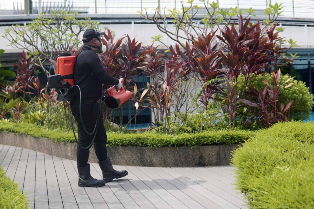 Fly Pest Control Services | PestBusters SG