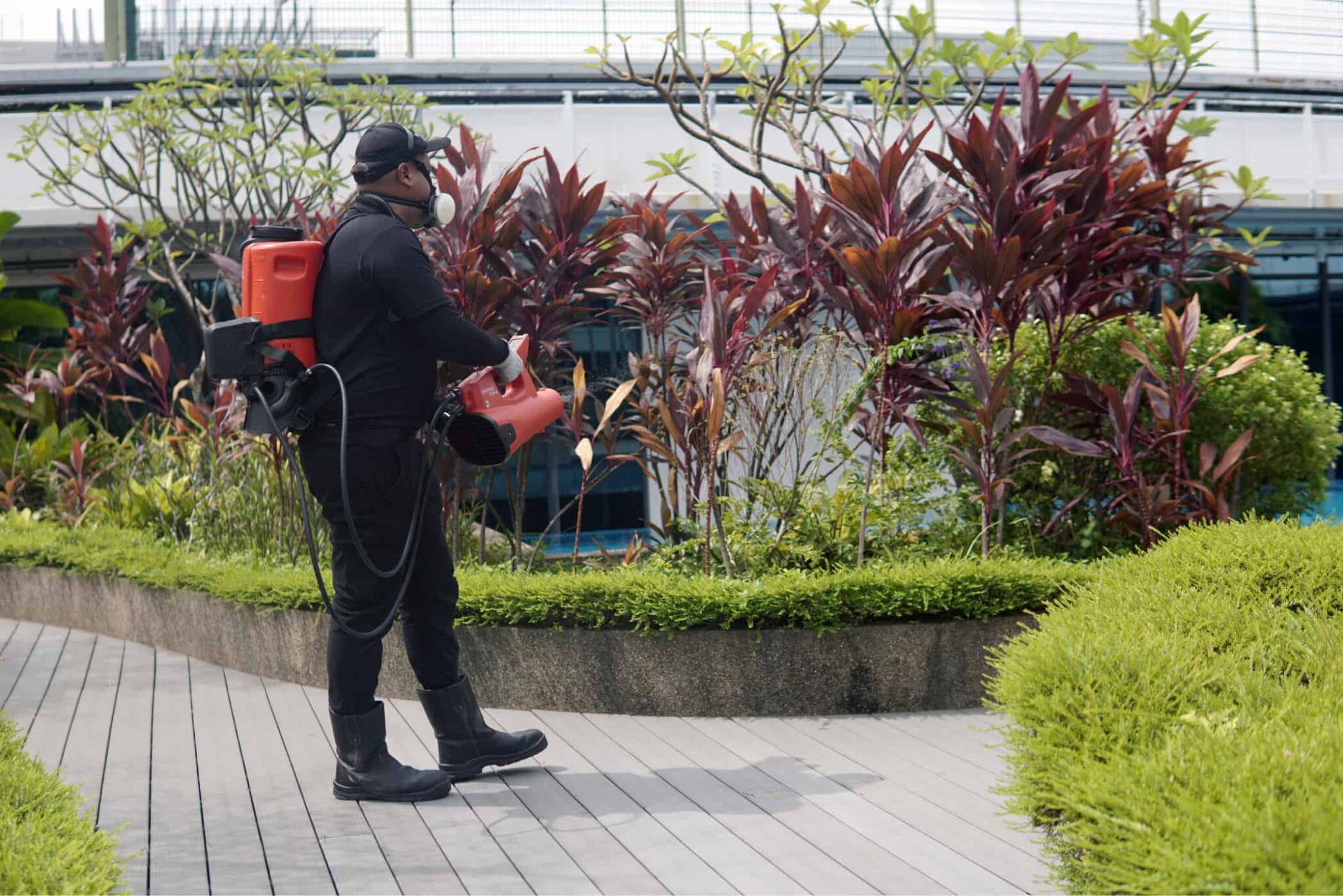 Fly Pest Control Services | PestBusters SG