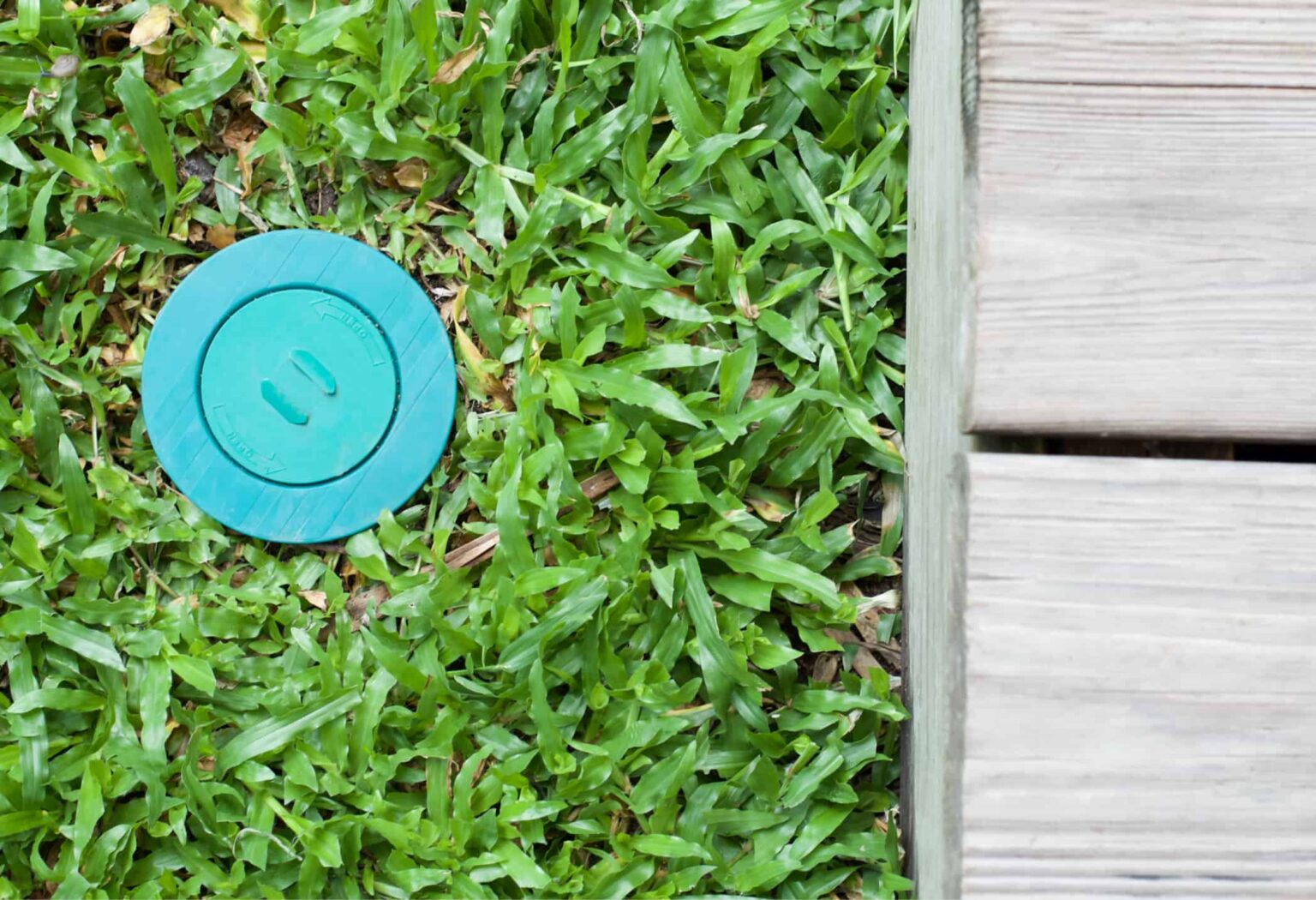 Termite Pest Control in Singapore | PestBusters SG