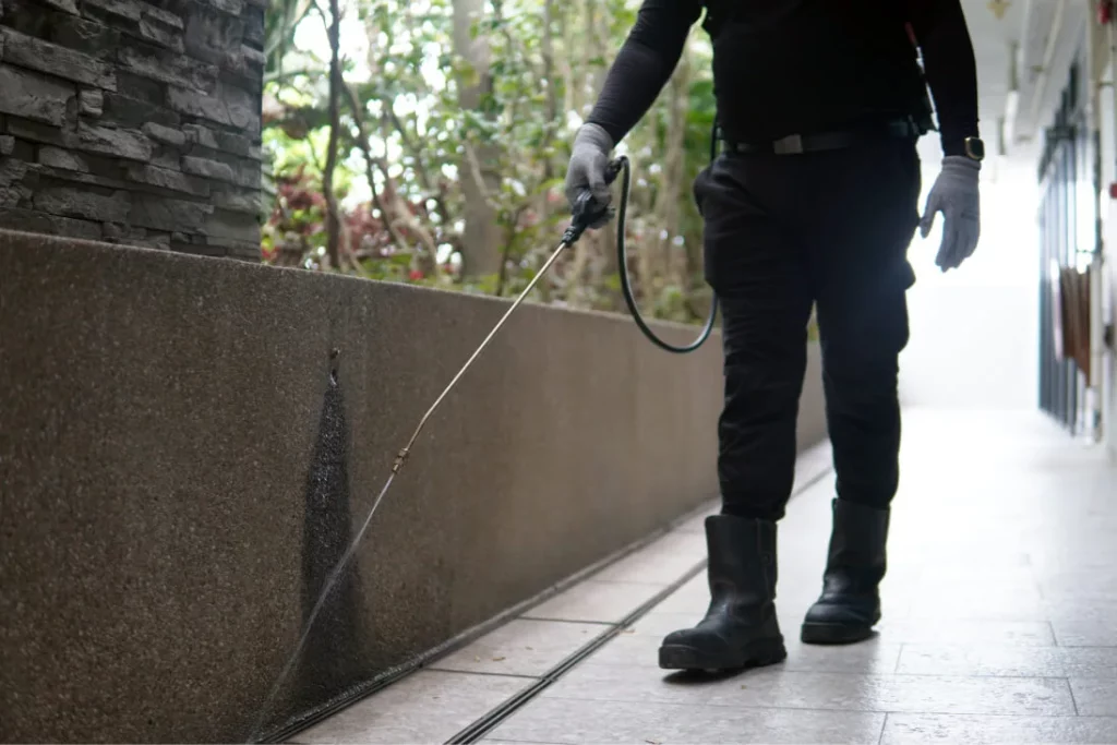 Cockroach Pest Control in Food Safety | PestBusters