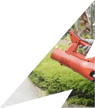 Bee Pest Control Services | PestBusters SG