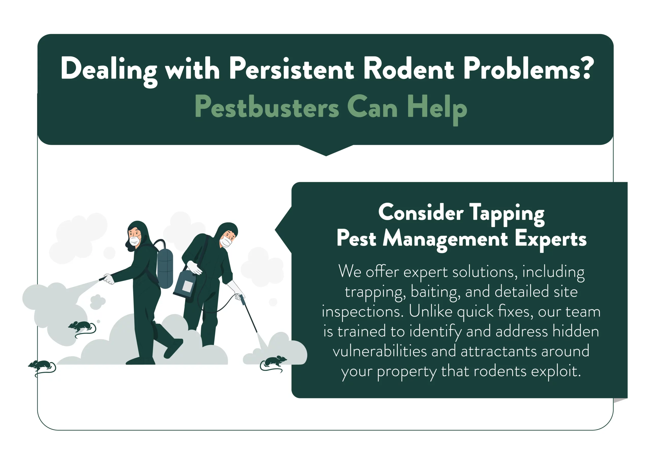 What the Rodent Infestation Cases Around Singapore Tell Us - PestBusters Singapore