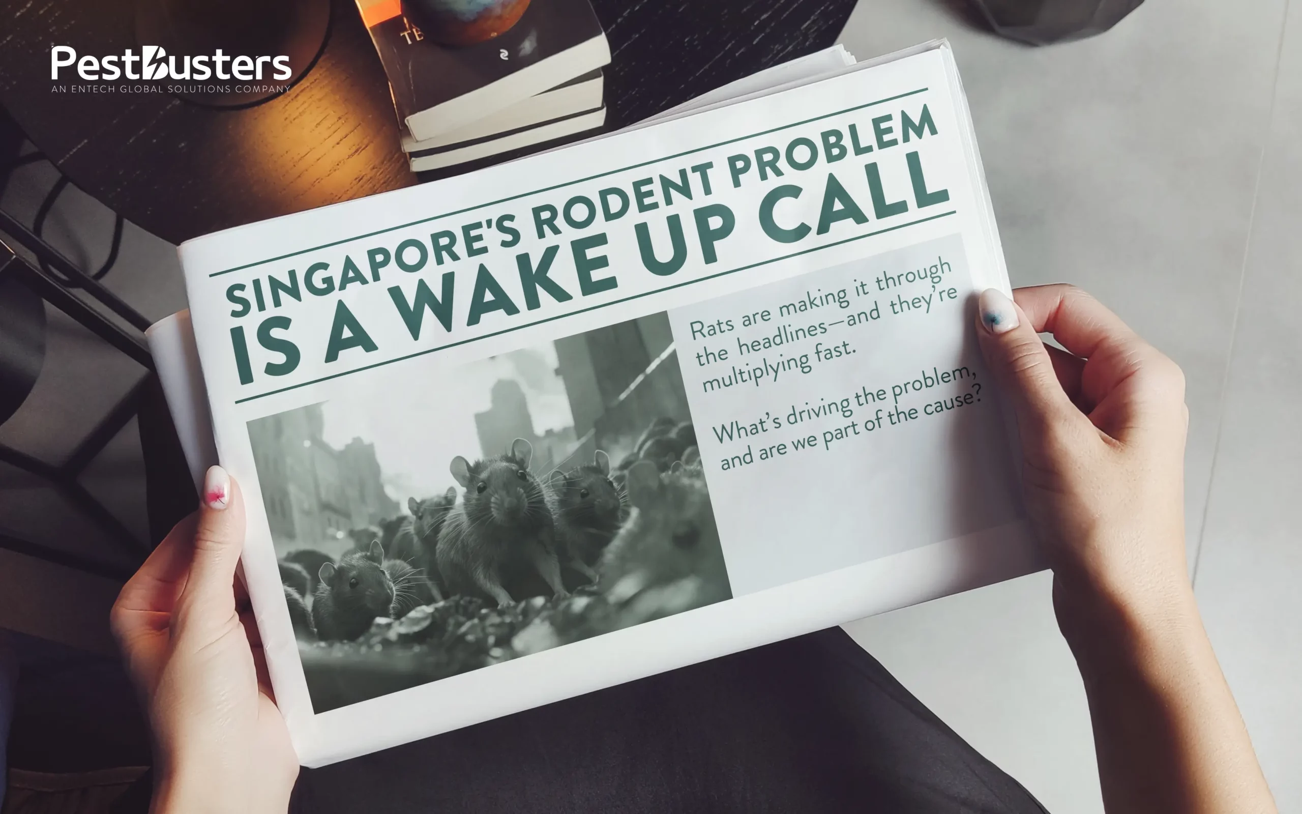 What the Rodent Infestation Cases Around Singapore Tell Us ...